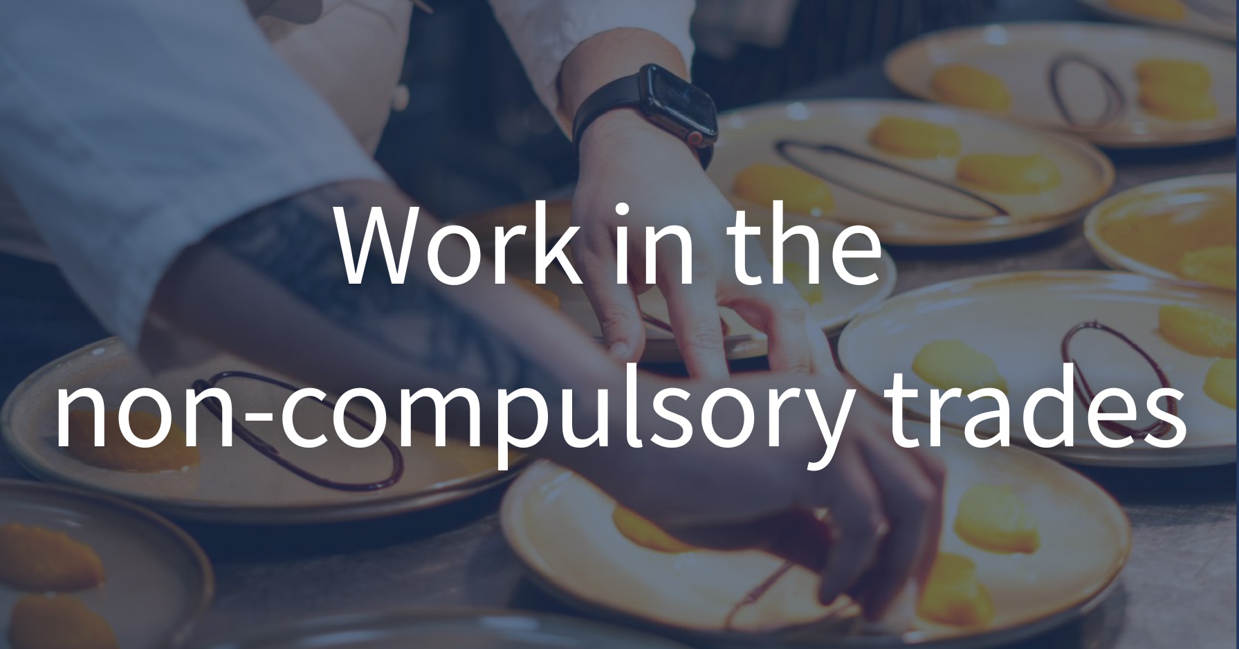 Work in the non-compulsory trades - Skilled Trades Ontario