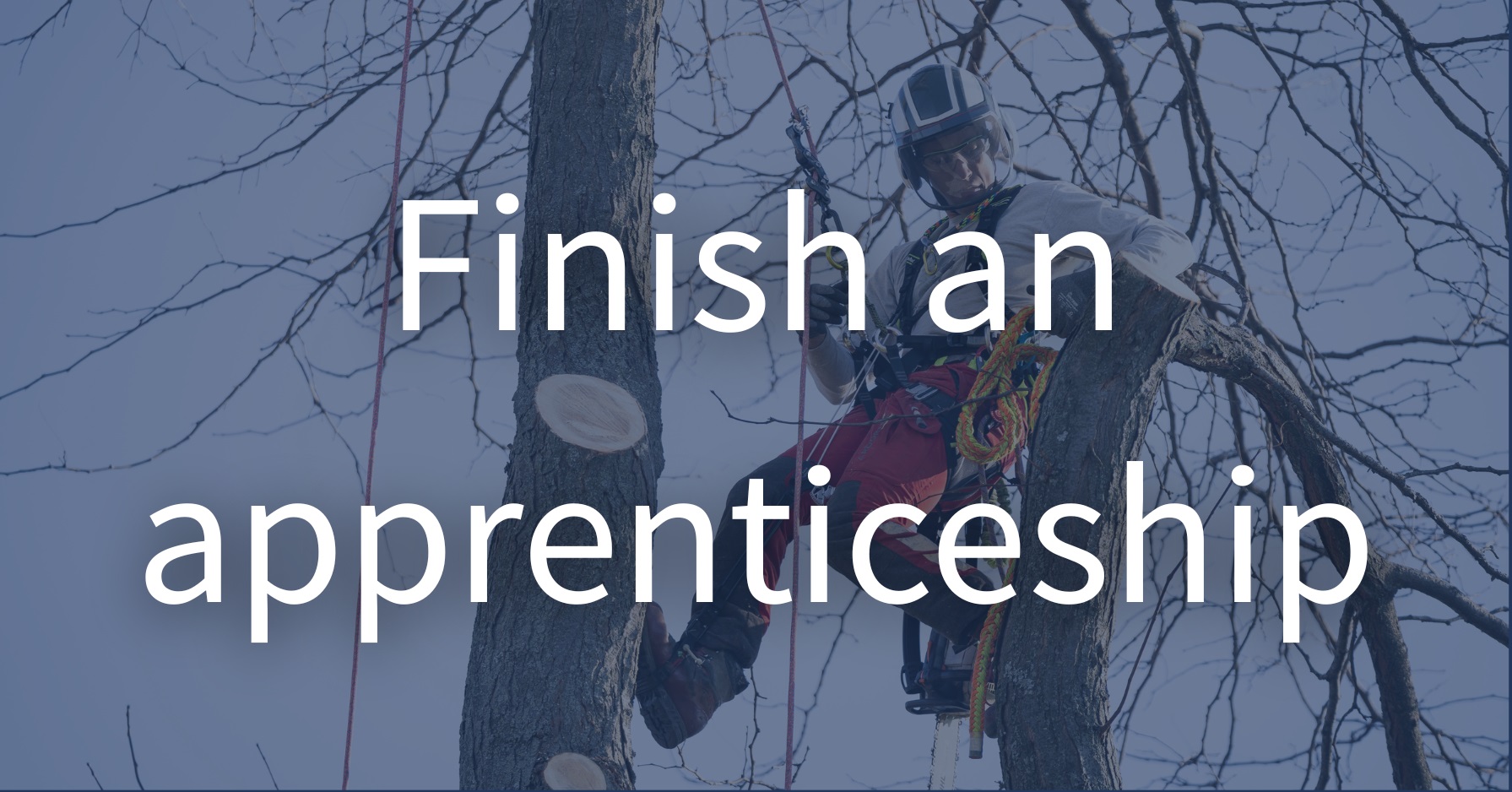 Finish an apprenticeship - Skilled Trades Ontario